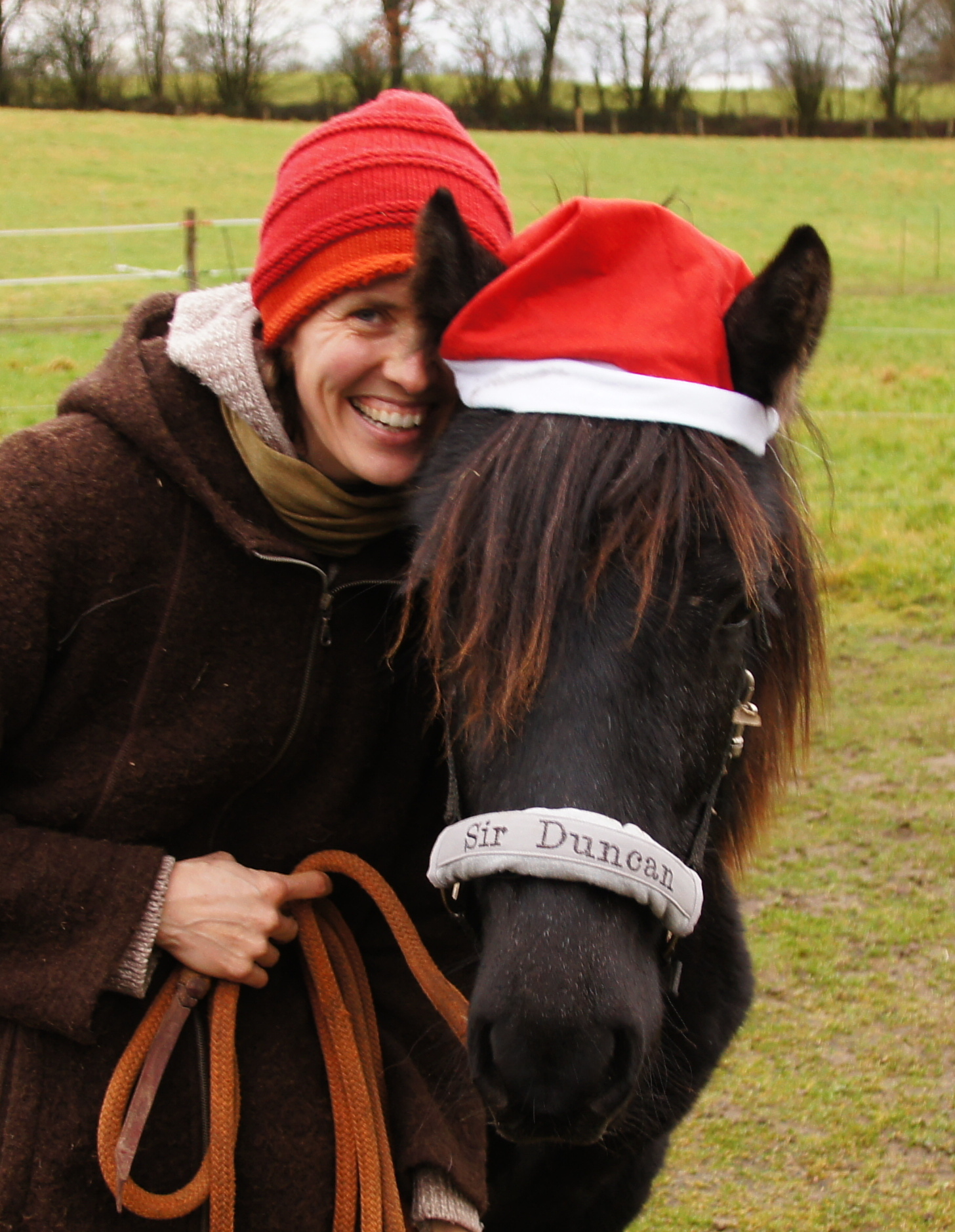 Geschenke – Schotten-Pony