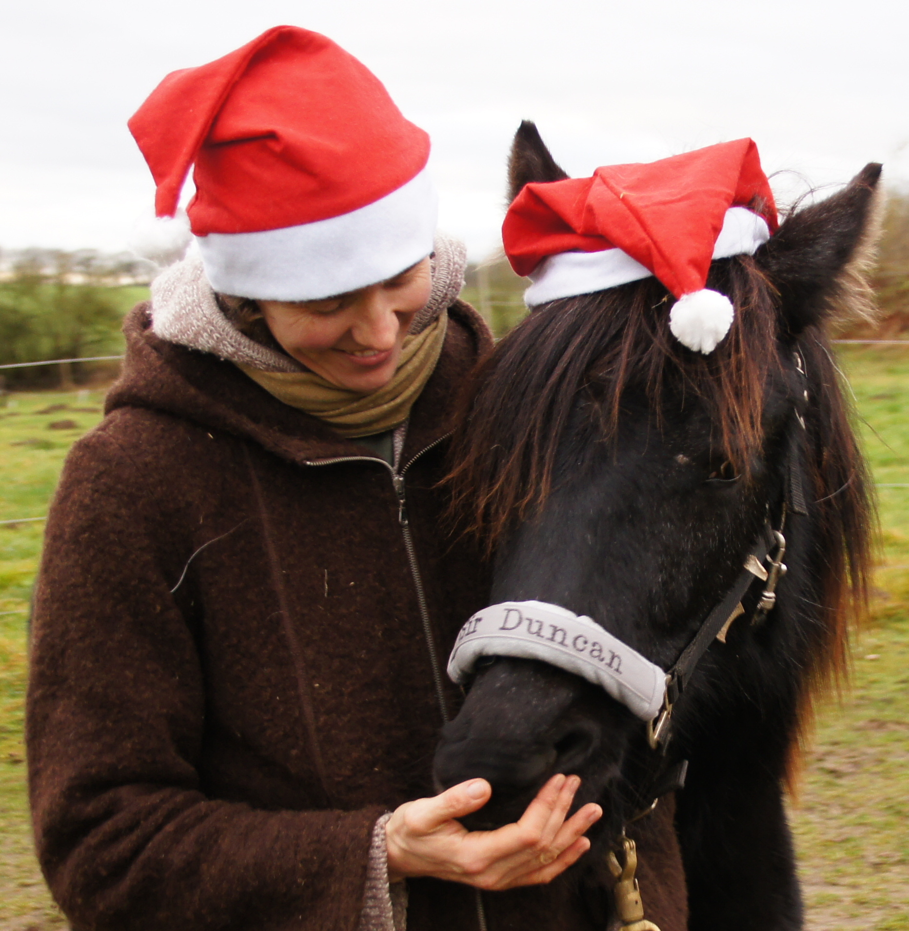 Geschenke – Schotten-Pony