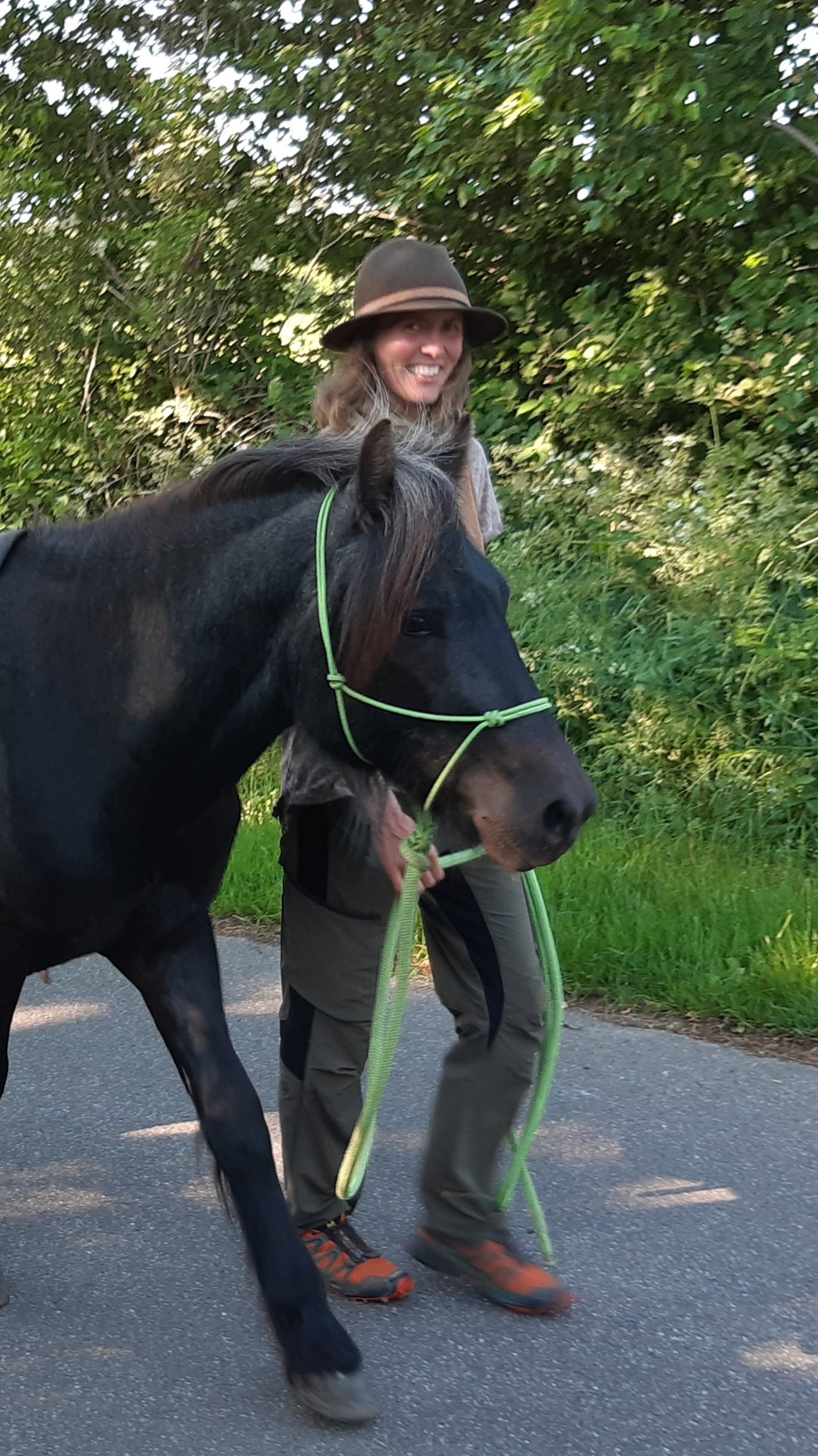 Glück – Schotten-Pony