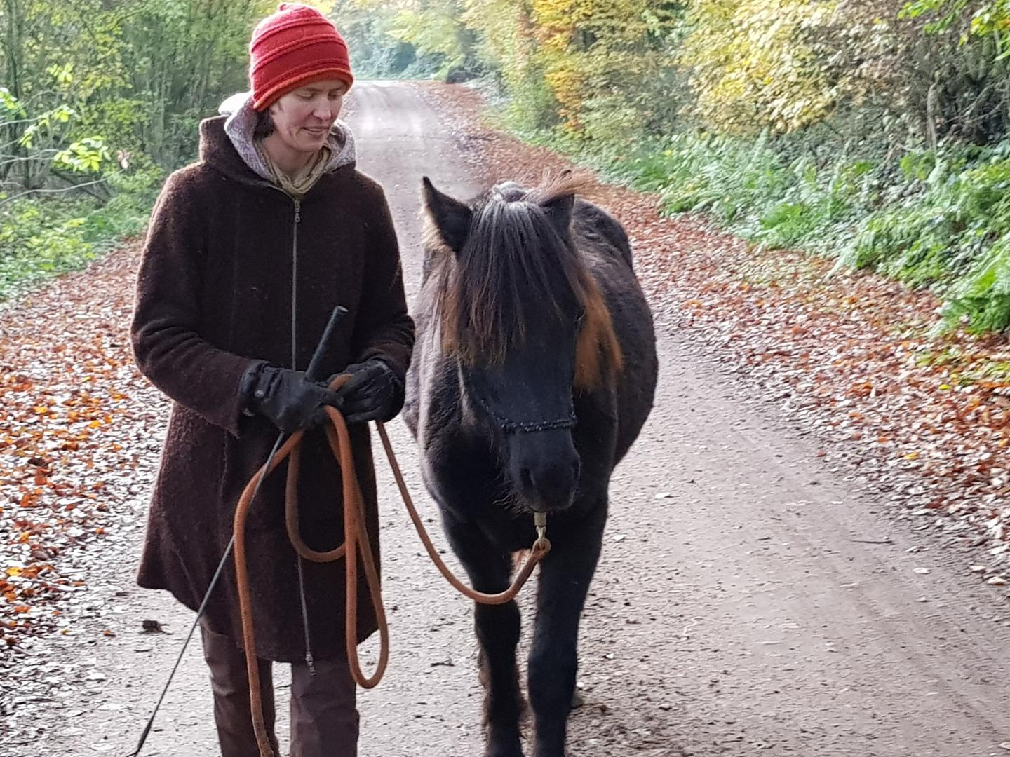 Aus dem Tagebuch des Sir Duncan Dhu 145 – Schotten-Pony