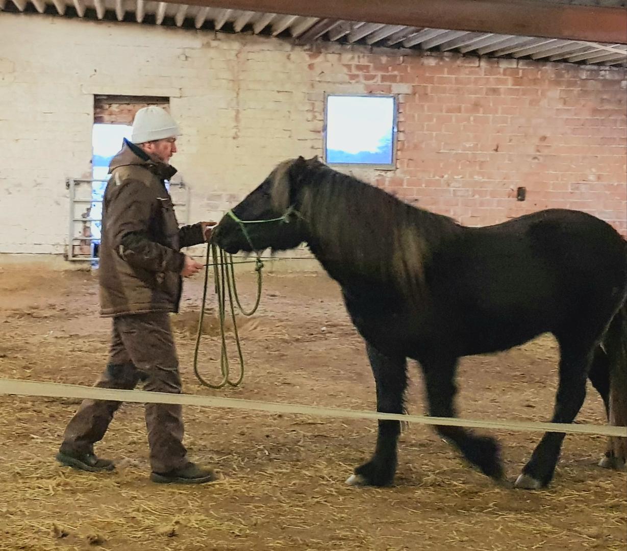 Aus dem Tagebuch des Sir Duncan Dhu 113 – Schotten-Pony