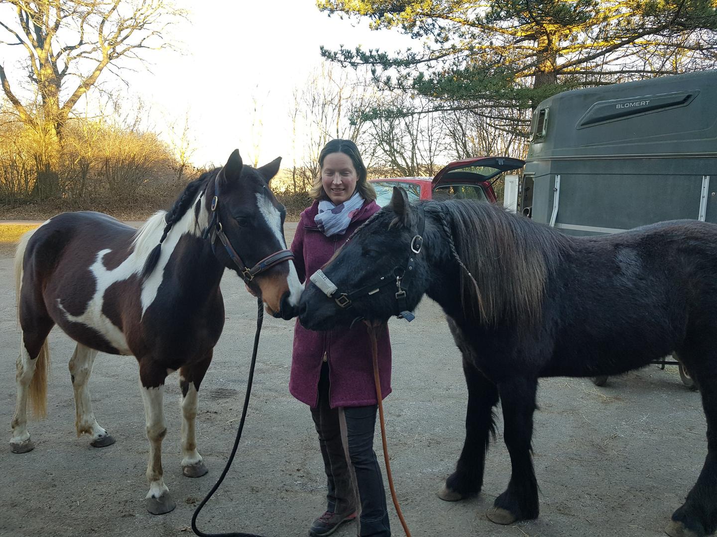 Aus dem Tagebuch des Sir Duncan Dhu 121 – Schotten-Pony